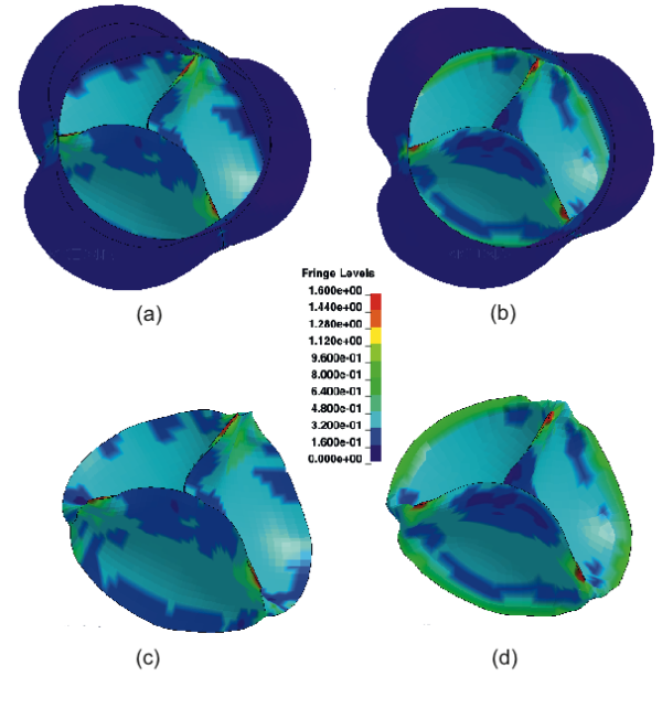 Isogeometric analysis of aortic valve behavior | Compmech