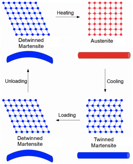 Constitutive Modeling of Shape Memory Alloys | Compmech