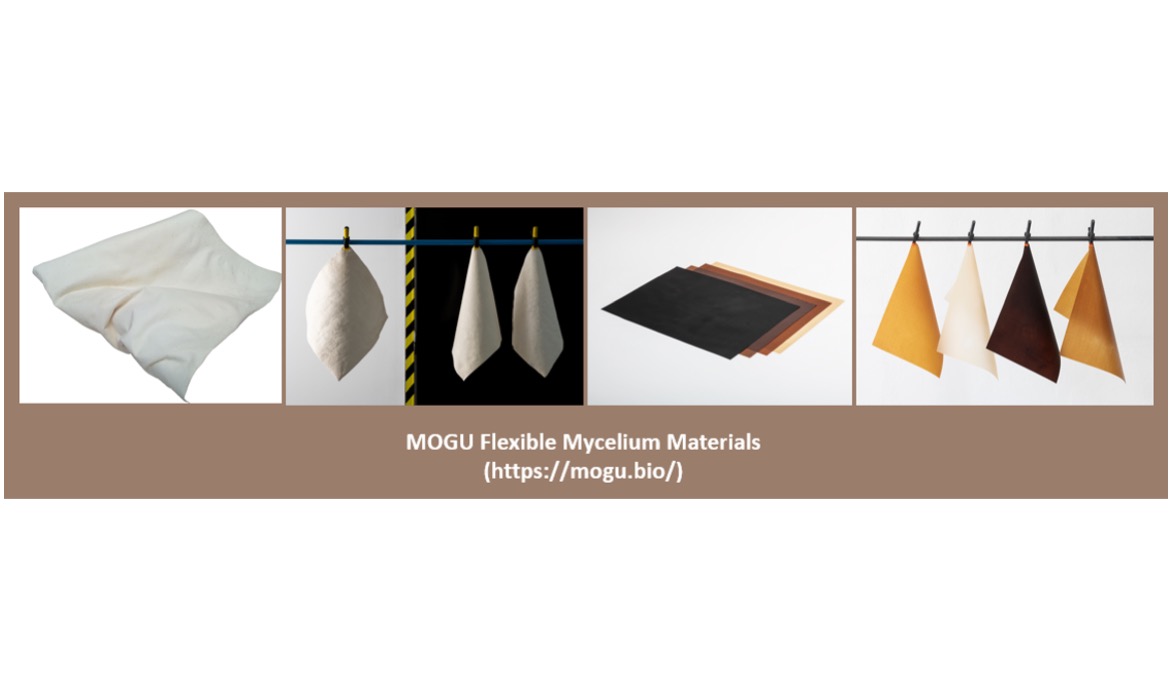 Mechanical characterization of Myco-Advanced materials | Compmech