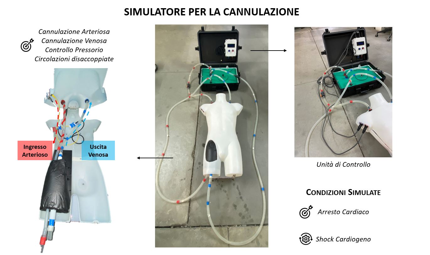 ECMO Cannulation Simulation | Compmech