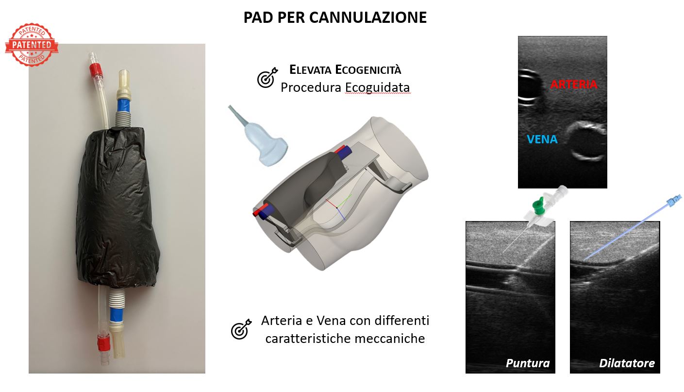 ECMO Cannulation Simulation | Compmech